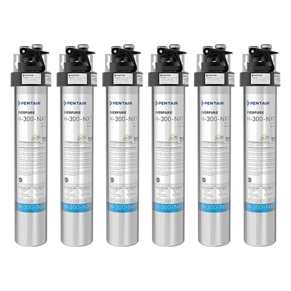 Pentair Everpure EV927156 | H-300-NXT 6-Pack — Plumbers Paradise